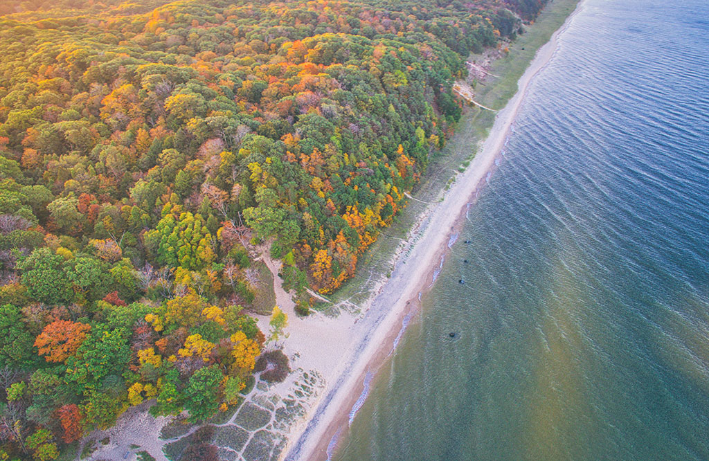 Fostering our Riparian Biodiversity - Fund For Lake Michigan | Fund For ...