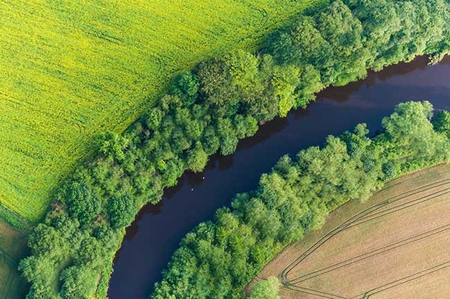Riparian Buffers: A Learning Lab - Fund For Lake Michigan | Fund For ...