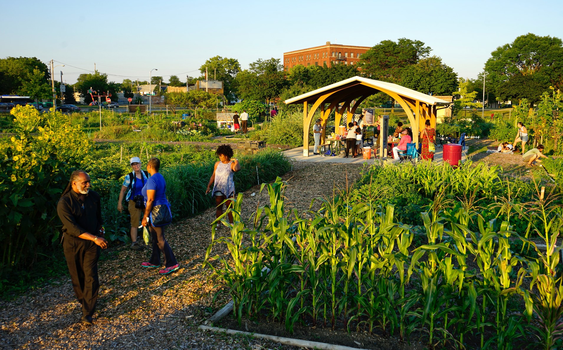 Walnut Way Wins a MANDI - Fund For Lake Michigan | Fund For Lake Michigan