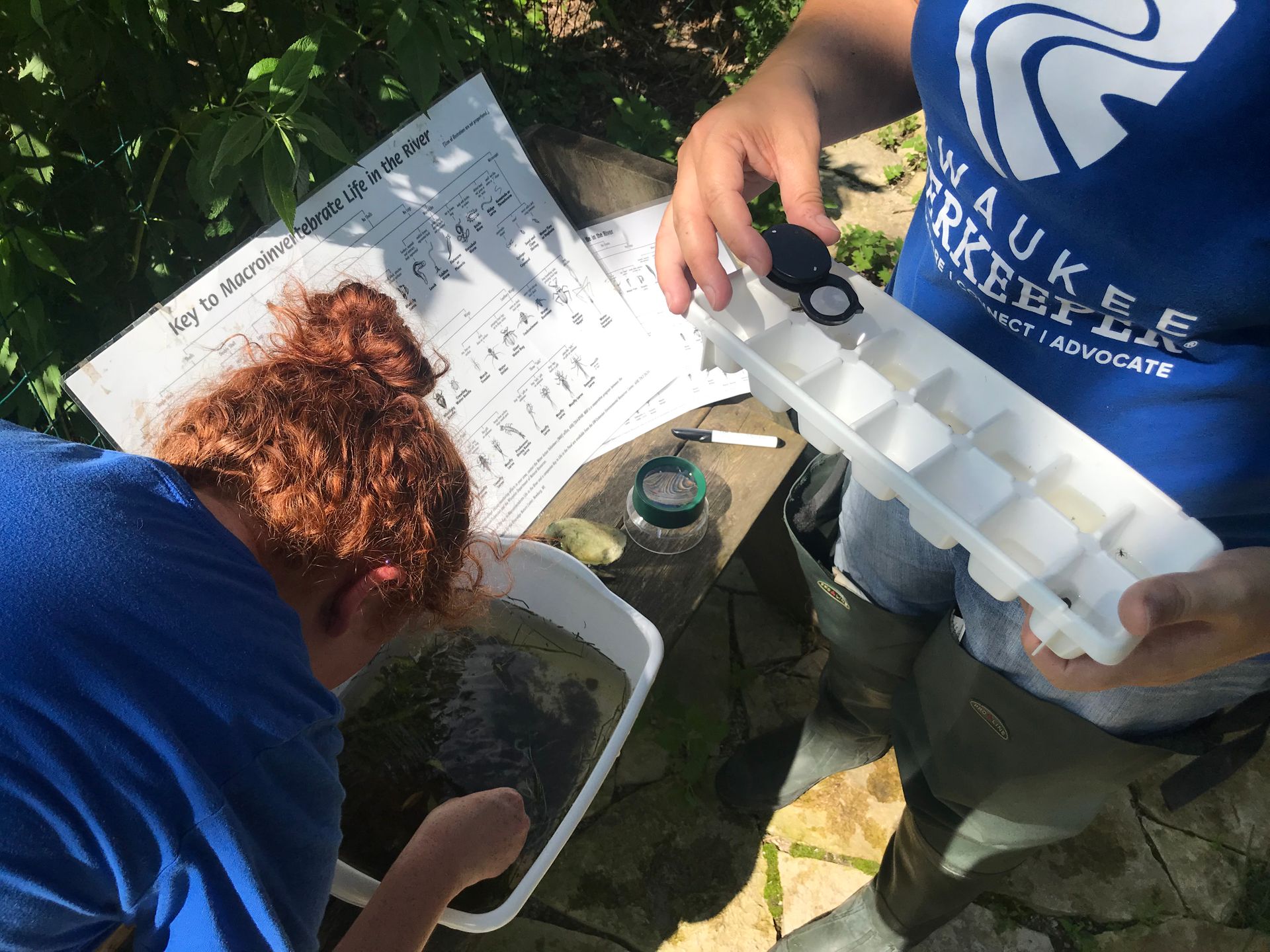 Baseline Water Quality Monitoring for the Milwaukee River Basin, 2022 ...