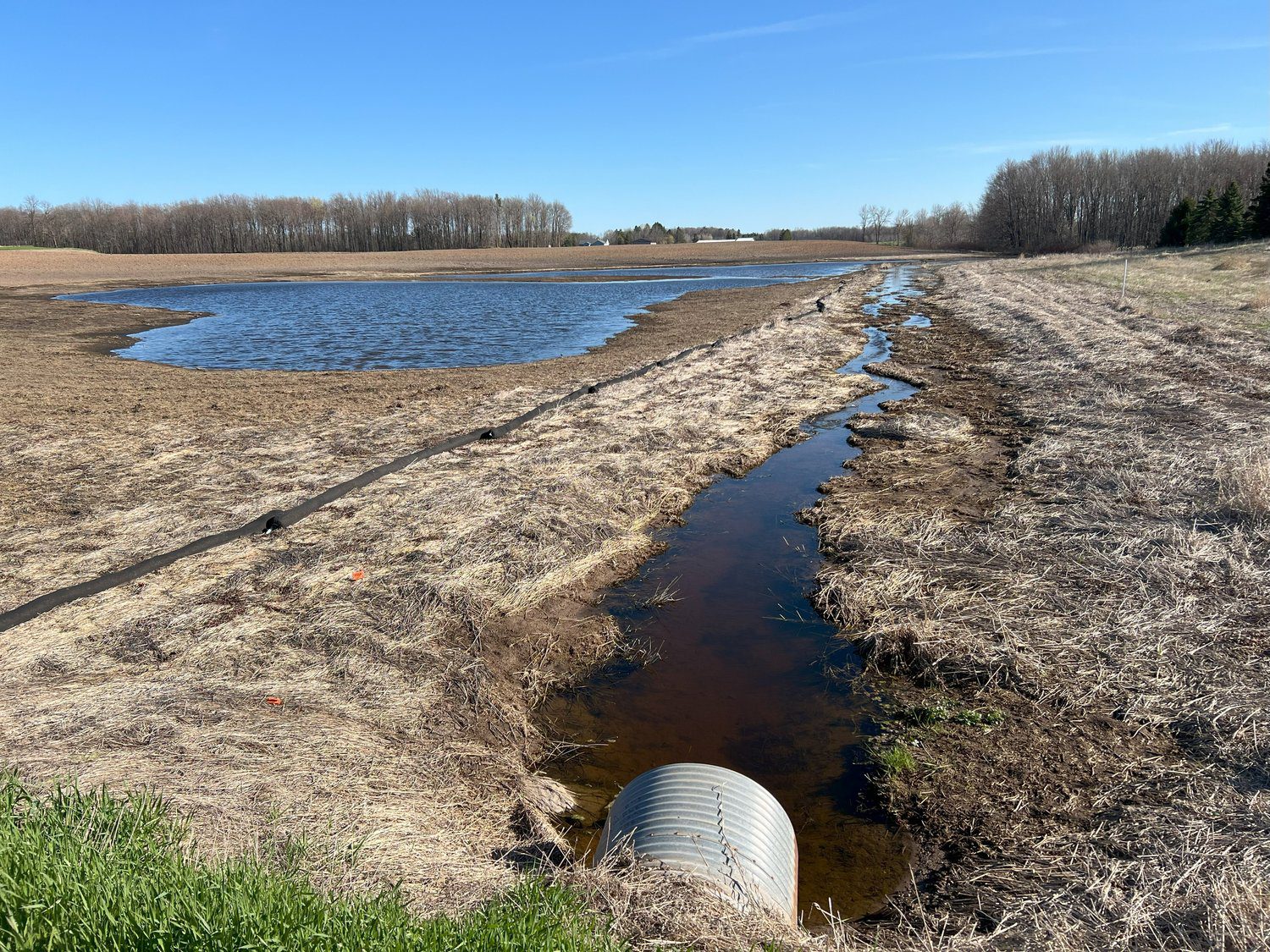 Carstens Lake Water Quality Improvement Project - Fund For Lake ...