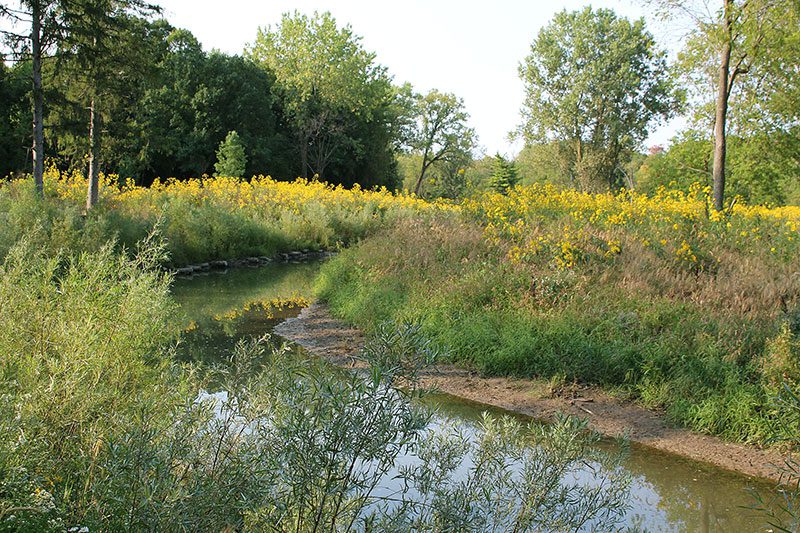 Pike River Phase III River and Habitat Restoration - Fund For Lake ...